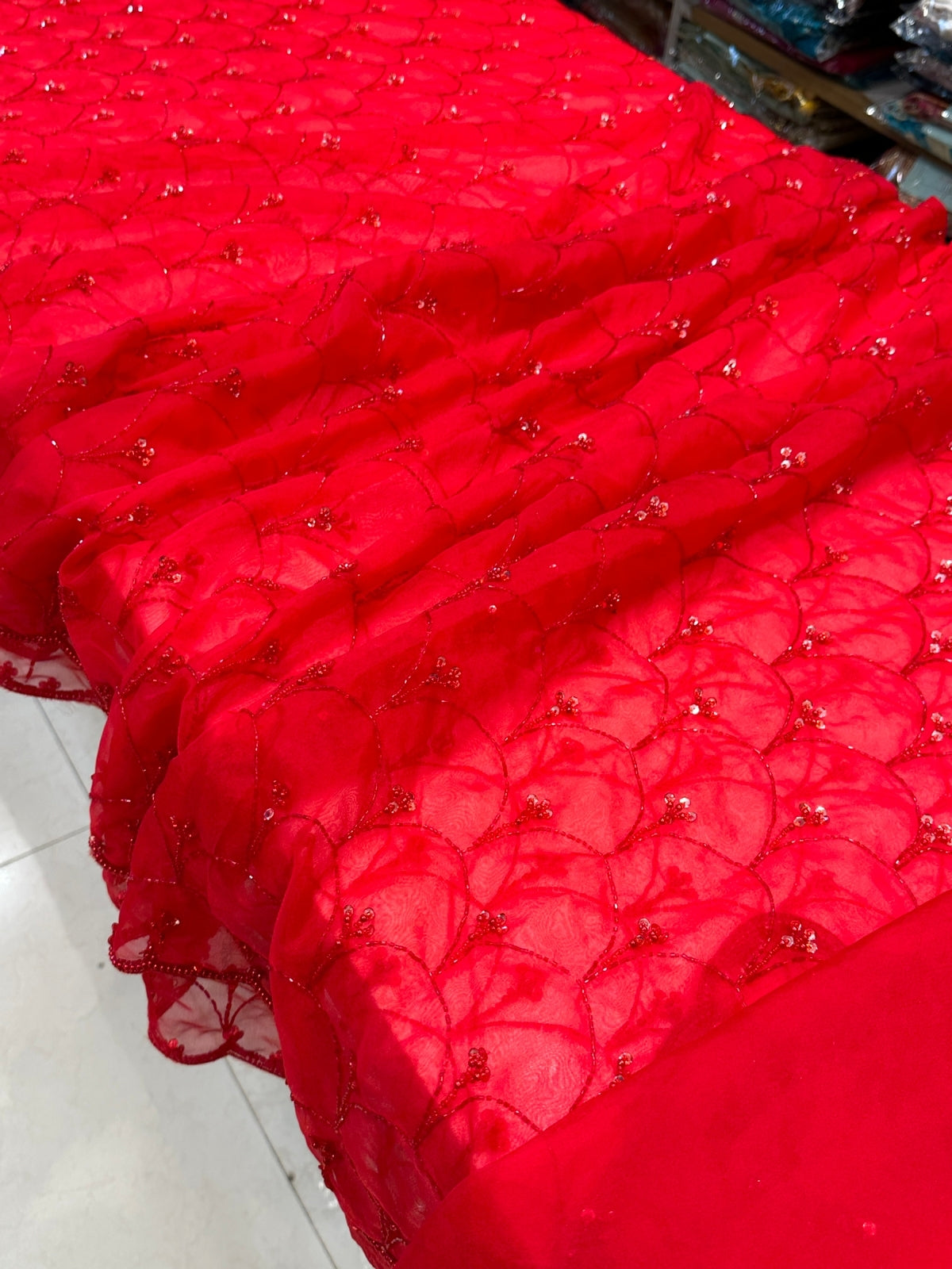 Red on Red Moti Sequin Hand Embroidery Organza Saree